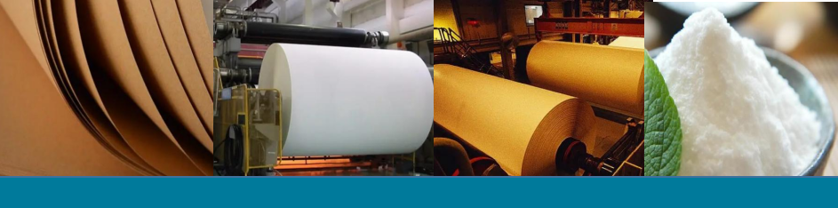 Cationic Potato Starch Cationic corn starch Cationic tapioca starch